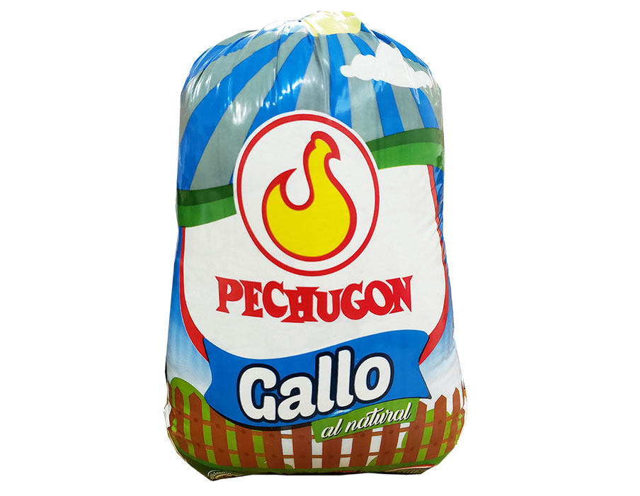 Gallo - Pollos Pechugon